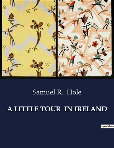 A LITTLE TOUR IN IRELAND | Lirandco